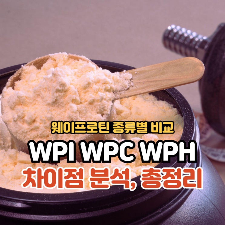 웨이프로틴 비교 WPI WPC WPH 각 차이점 분석 정리 : 네이버 블로그
