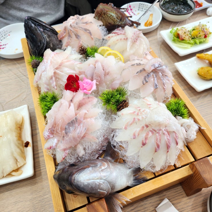 💜 속초 스끼다시가 미쳐버린 영금정 활어회센터 해산물모둠회특가성비 횟집속초 횟집 네이버 블로그
