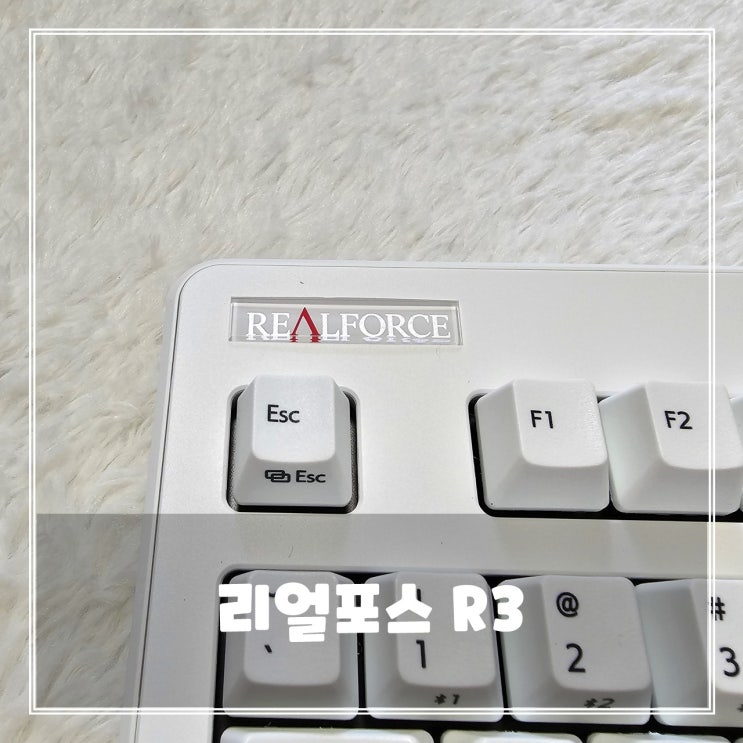 리얼포스 R3 TKL 45g 균등 9개월 사용 후기 : 네이버 블로그