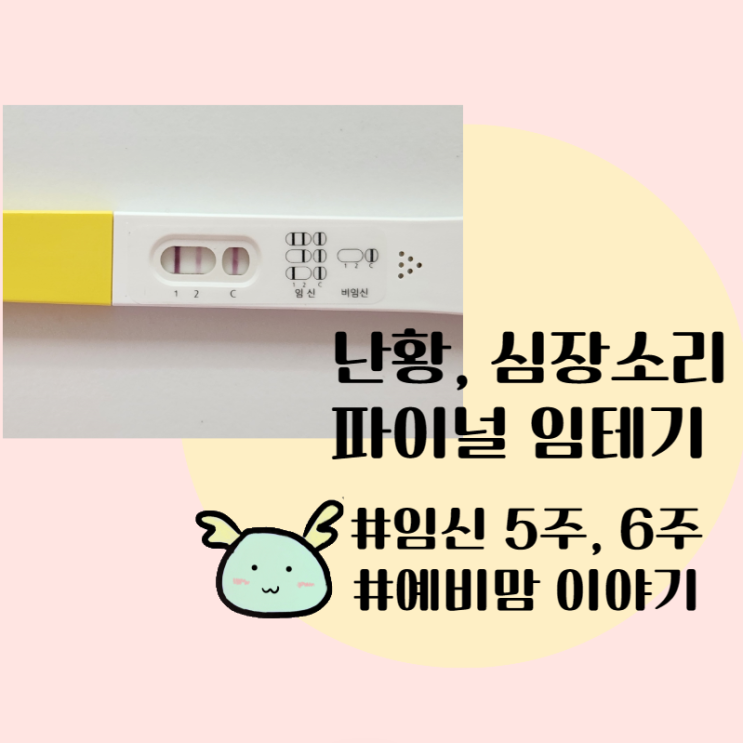 임신 5주 6주의 기록 파이널 쓰리라인 임테기 결과 심장소리 듣고 산모수첩 받은 날 네이버 블로그