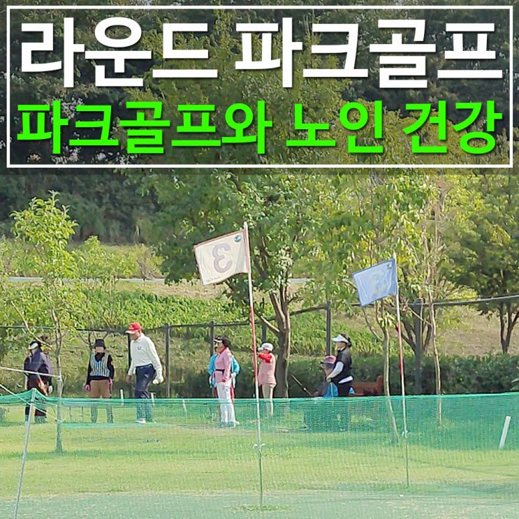 파크골프가 노인 건강에 미치는 영향과 효과 네이버 블로그