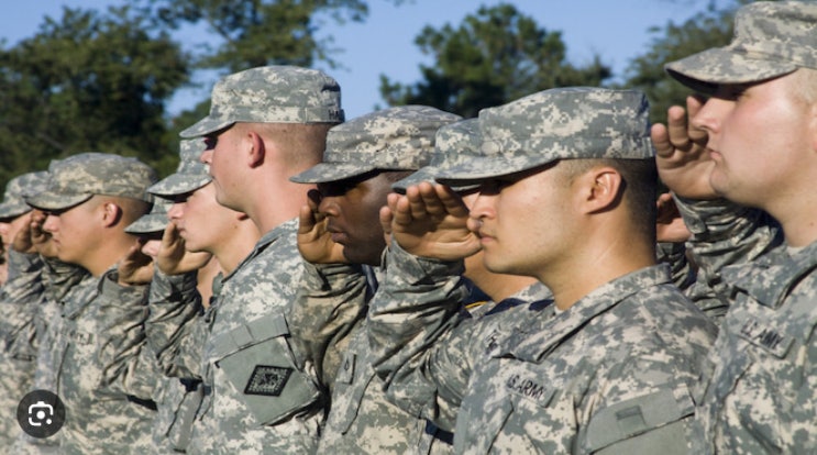 한국 학생의 미군 입대 프로그램,MAVNI에 대해 알아본다 : 네이버 블로그