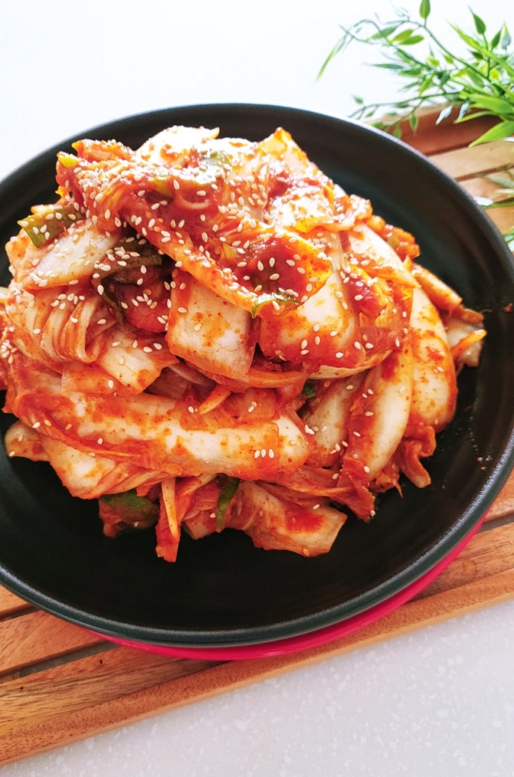 칼국수집 알배기 겉절이 만드는법 알배추 양념 야채 탈수기 봄배추 절이기 김치 만들기 네이버 블로그