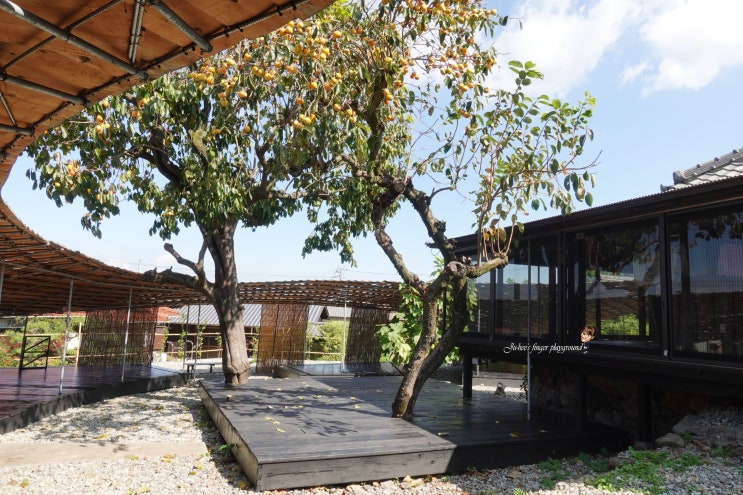 일본여행 / 다카마쓰 데시마섬 맛집 시마키친&카페 Shima Kitchen : 네이버 블로그