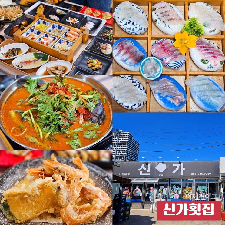 속초 물회 회포장 맛집 신가횟집 스끼다시 역대급 푸짐한 곳 주차 네이버 블로그