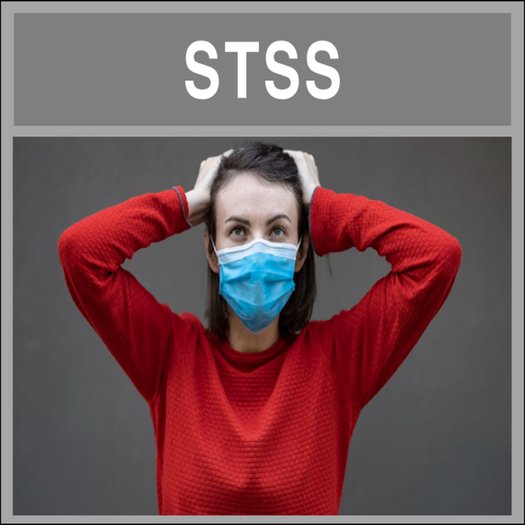 STSS 증상 잠복기 한국 STSS 일본 독성쇼크증후군 원인 감염 예방 : 네이버 블로그