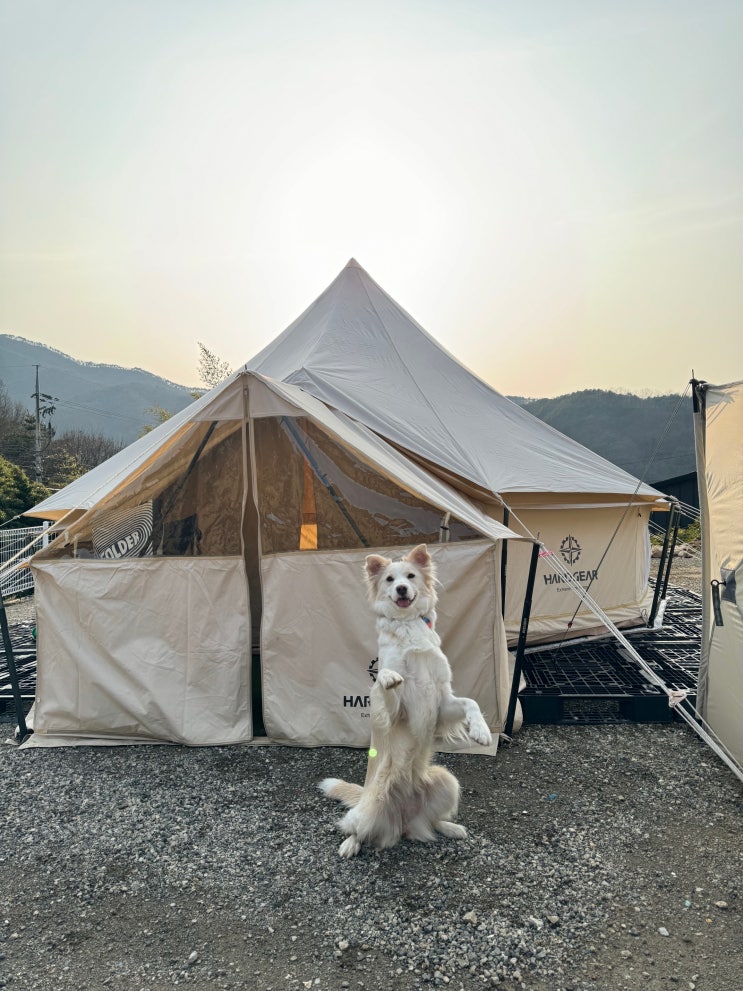 전주 근교 애견동반이 가능한 럭셔리 글램핑 별빛든쉼글램핑장 후기 네이버 블로그