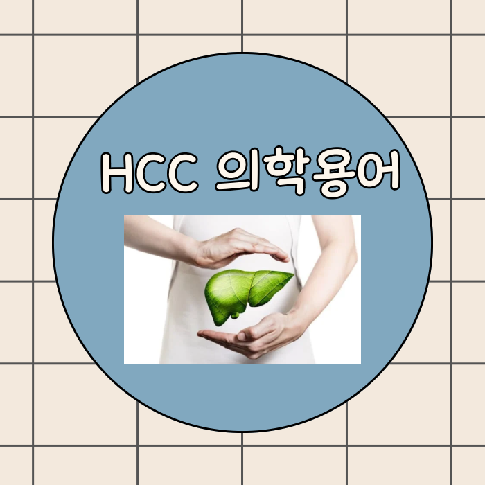 HCC 의학용어 , 원인 , 치료방법 , 예방법 까지 자세하게 알아볼게요. : 네이버 블로그