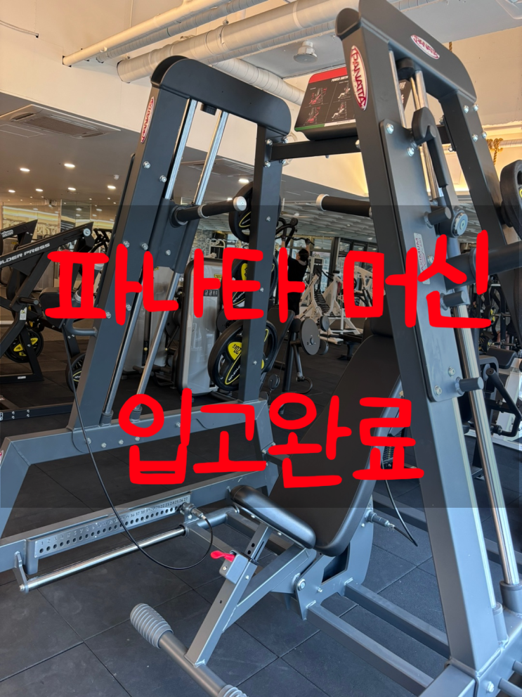 강서구 발산 마곡동 유일한 파나타 파워 스미스 듀얼 어퍼 머신 입고완료 머신맛집 헬스보이짐 양천향교역점 네이버 블로그