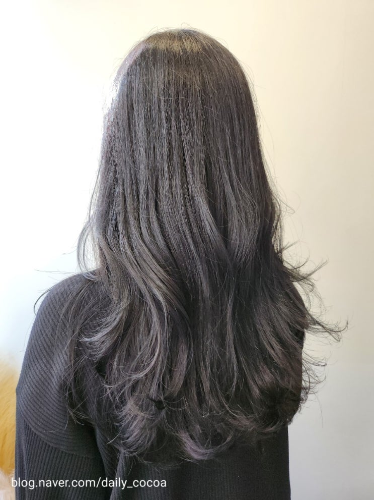 강남 선릉역 미용실 추천 프롬어스헤어 선릉역점 From Us Hair 네이버 블로그