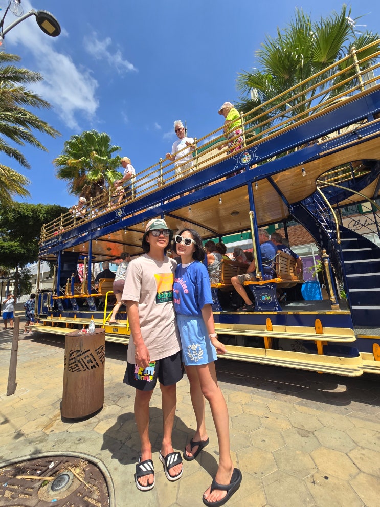 아루바 다운타운 관광 무료 트롤리 Aruba Streetcar Trolley : 네이버 블로그