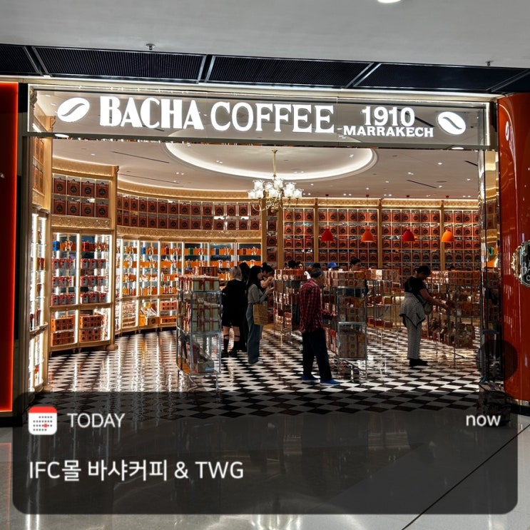 홍콩여행 IFC몰 바샤커피 아라비카 커피 TWG 홍콩 쇼핑리스트 : 네이버 블로그