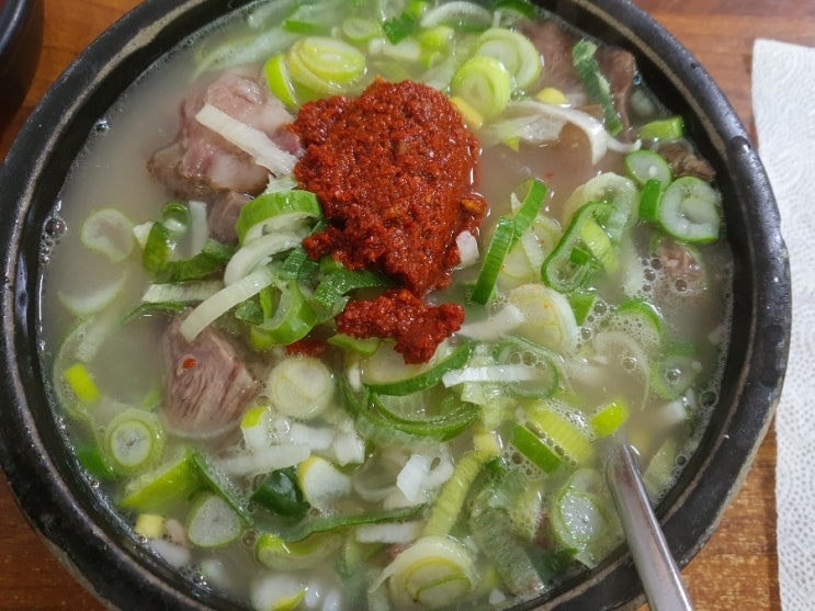 강릉 내돈내산 맛집 추천 엄마가 직접 찾은 맛집 와이래서 엄마들이 맛집을 많이 아나봐 강릉 아침식사로 딱 네이버 블로그