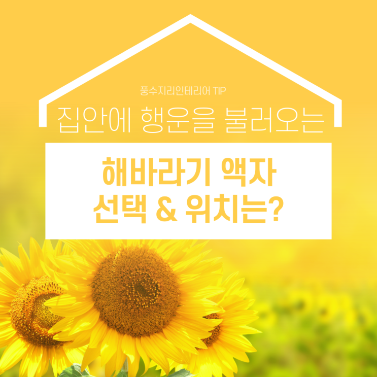 풍수지리인테리어 팁 집안에 행운을 불러오는 그림풍수 해바라기 액자위치 가이드 네이버 블로그