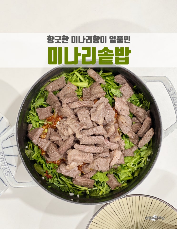 봄 제철나물 소고기 미나리솥밥 만들기 특급 양념 레시피 소고기 미나리 솥밥 네이버 블로그