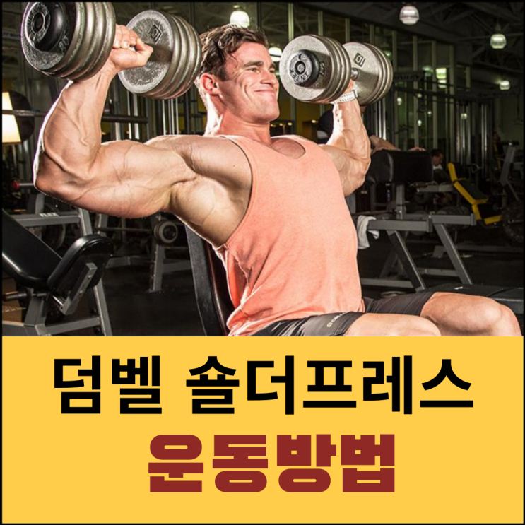 덤벨 숄더프레스 자세 및 효과 무게 설정까지 총정리 네이버 블로그