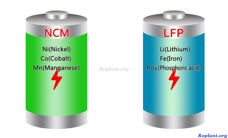 NCM 배터리와 LFP 리튬이온 배터리(삼원계 배터리와 리튬인산철 배터리) 비교, 전기차 이차전지 : 네이버 블로그