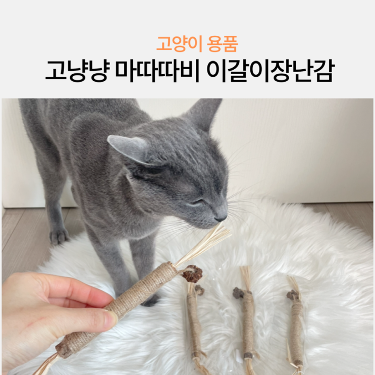 고양이이갈이시기 고냥냥 마따따비 고양이캣닢 장난감 사용 후기 네이버 블로그