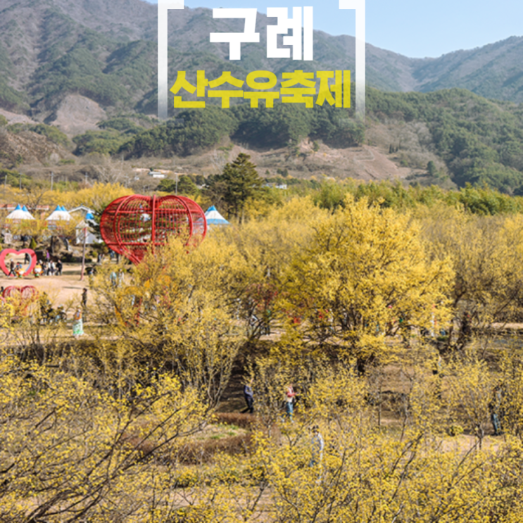 구례 산수유 축제 남도여행 구례 현천마을 상위 반곡 하위 네이버 블로그