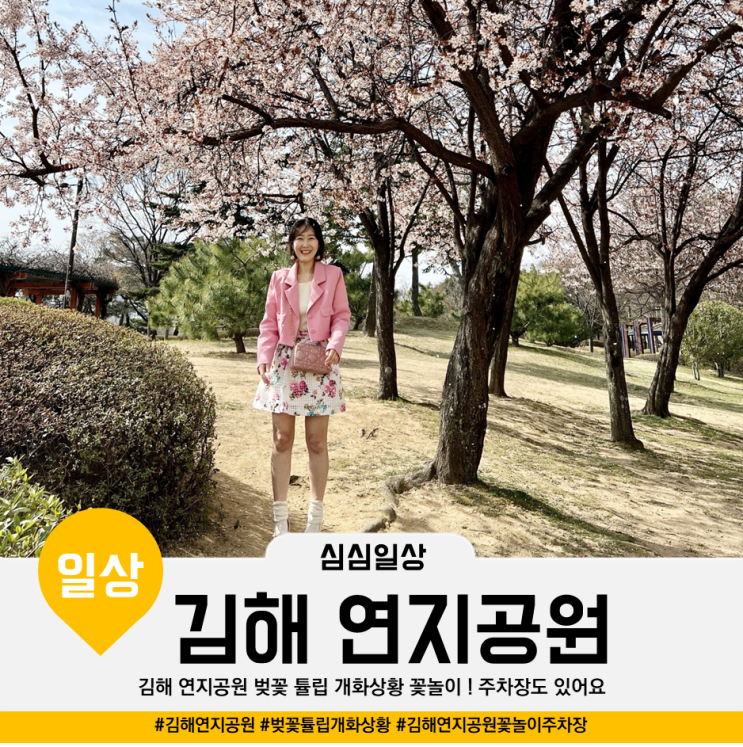 김해 연지공원 벚꽃 튤립 개화상황 꽃놀이 주차장도 있어요 네이버 블로그