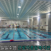 일일수영 원주 원정자유수영 수질 좋고 사람 적은 원주시근로자종합복지관후기 네이버 블로그