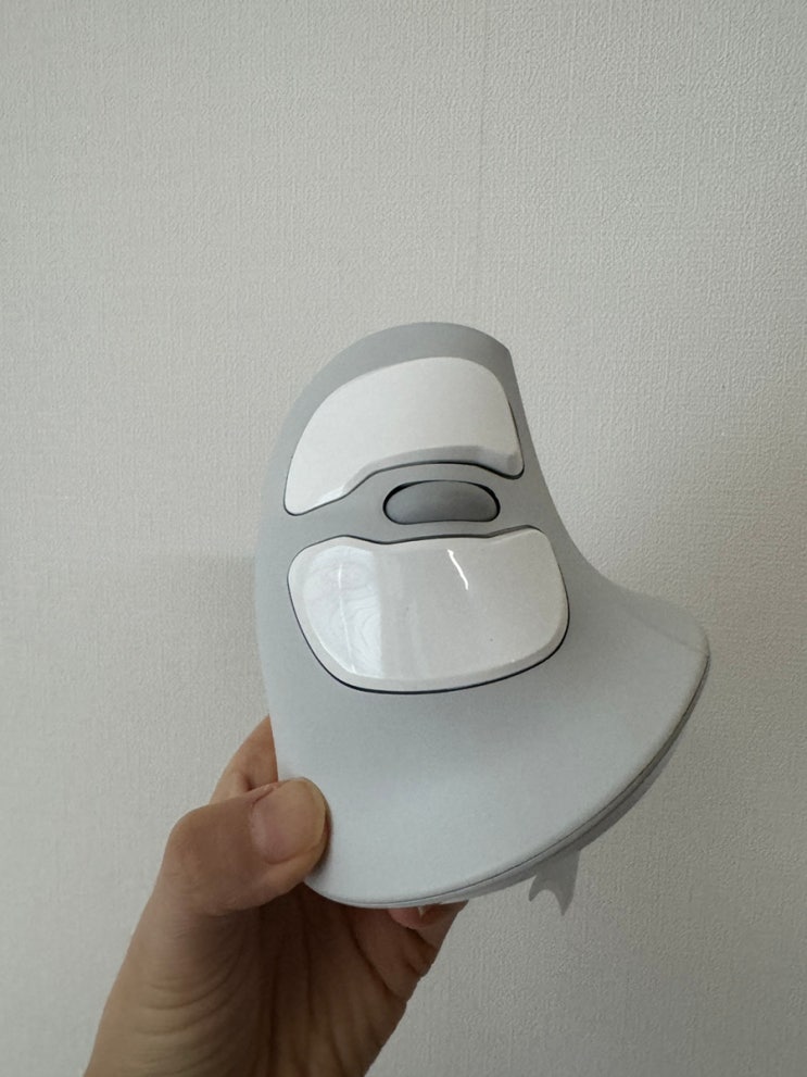 [3만 원대 가성비 버티컬 무선 마우스 추천] '아이리버 EQwear-EV3' 내돈내산 솔직 사용 후기 및 장단점(+마우스 dpi_감도 조절 방법) : 네이버 블로그