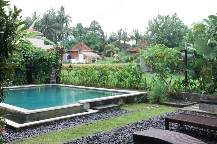 Bali 발리 여자 혼자 3주 여행(ISTP,우기) / 우붓 Ubud Shanti Rice Field House By ...