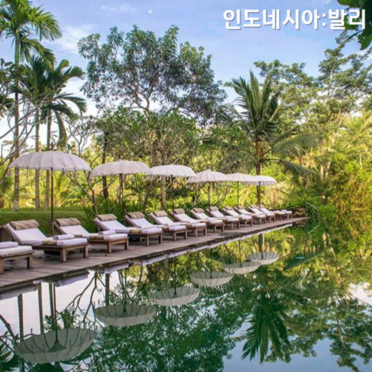 발리 코마네카 앳 비스마 호텔 우붓 정글뷰 리조트 할인 예약 정보 프로모션코드 네이버 블로그