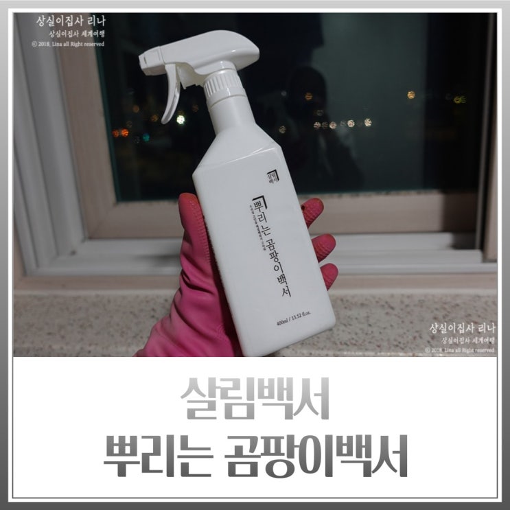 살림백서 곰팡이 제거 스프레이 뿌리는 곰팡이백서 창문 실리콘 사용후기 네이버 블로그