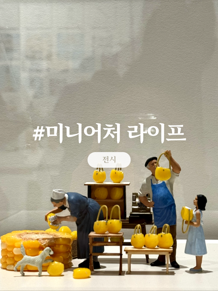 타나카타츠야 미타테마인드 미니어처 라이프 전시 할인 예매 후기 주차 팁과 할인쿠폰 있어요 네이버 블로그