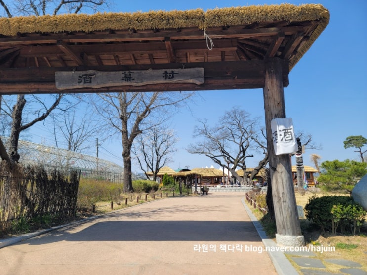 낙조와 벚꽃이 이쁜 곳 사문진 나루터 사문진 주막촌 달성관광 투어 팁 대구 당일 여행하기 좋은 곳 달성 생태 관광