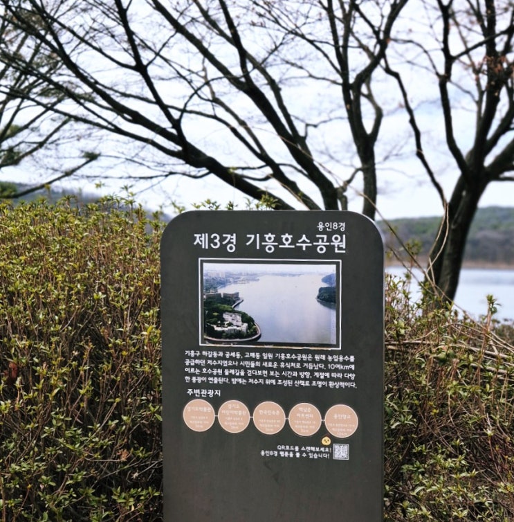 용인8경 주일 가까운 호수 둘레길 걷기 운동 2만 보 걷기 좋은 길 기흥 용인 수원 신갈저수지 호수공원산책길 추천