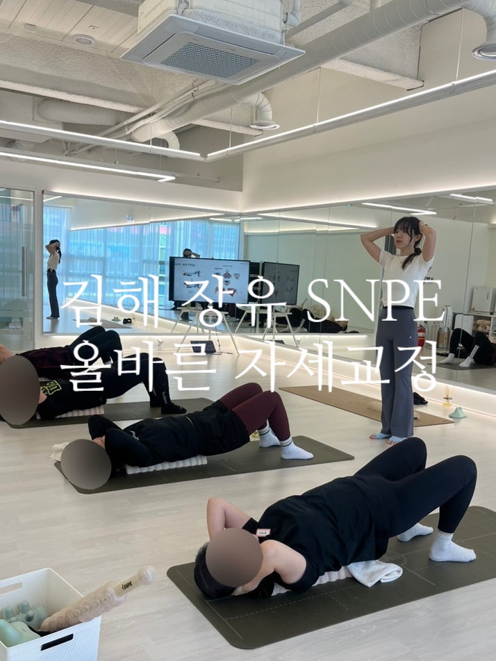 [김해 장유 SNPE] 올바른 자세교정 척추운동 3월 주말 원데이클래스 목어깨 통증수업 후기 : 네이버 블로그