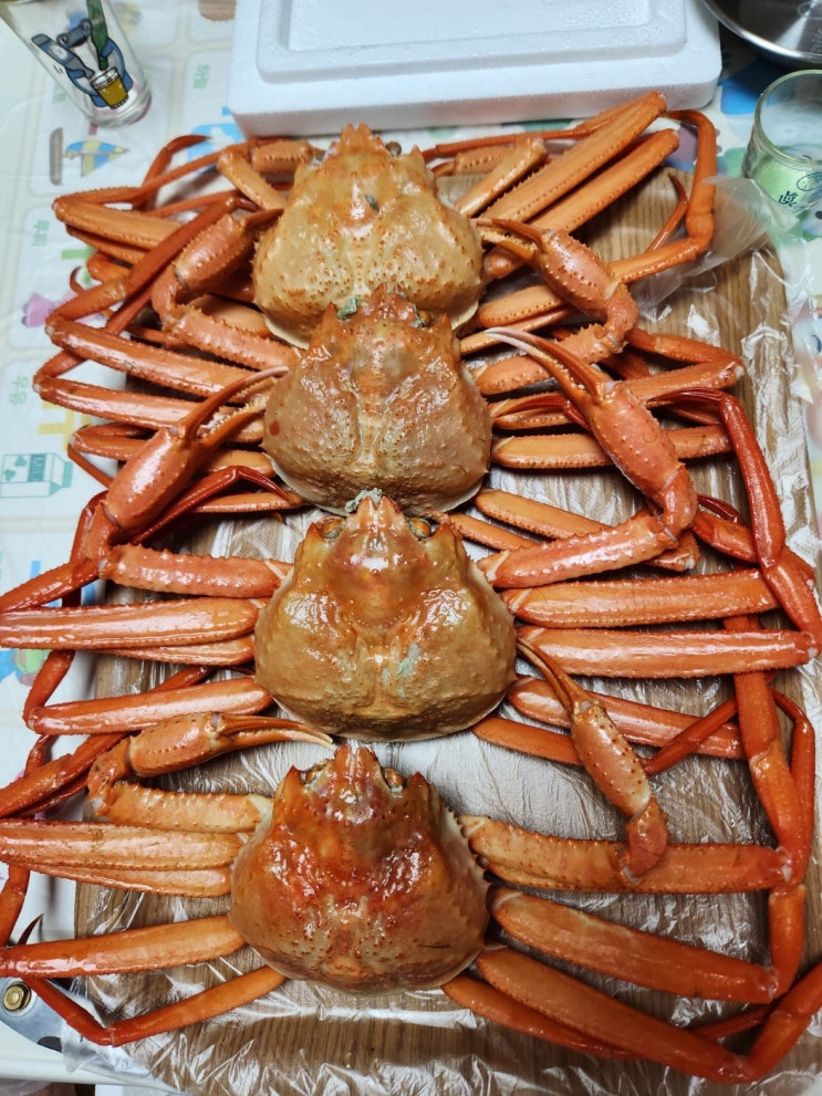 포항 박달홍게 유명한 죽도시장 대게싼집 준돌이네 홍게시세 3월 25일 기준 네이버 블로그
