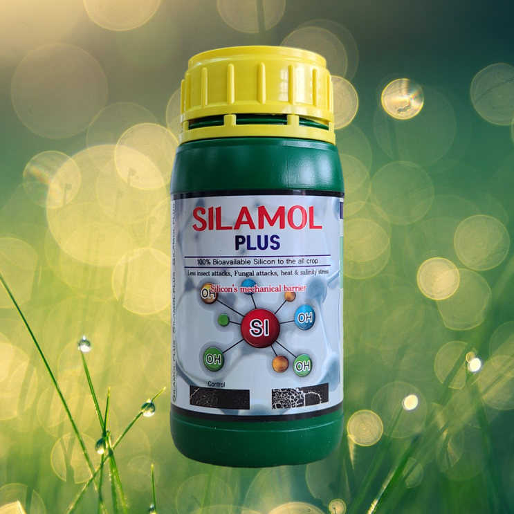 실라몰알파(250ml) SILAMOL-α, 오르토규산 작물도복억제 세포벽강화 SiO4 : 네이버 블로그