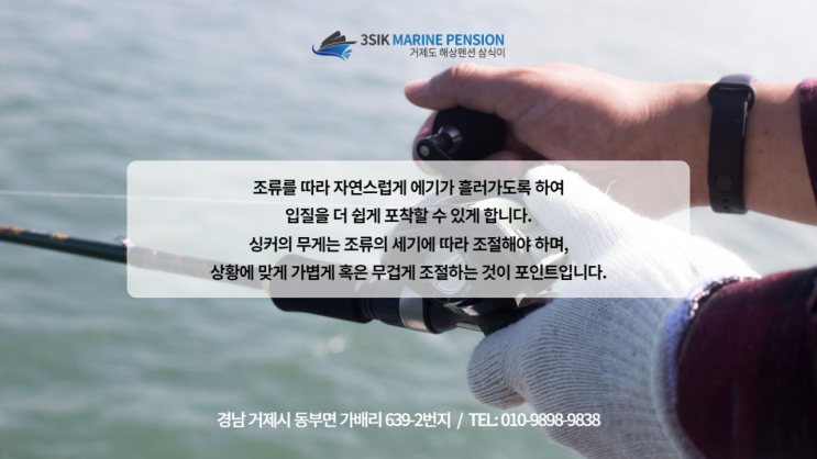 갑오징어 낚시 방법! : 네이버 블로그
