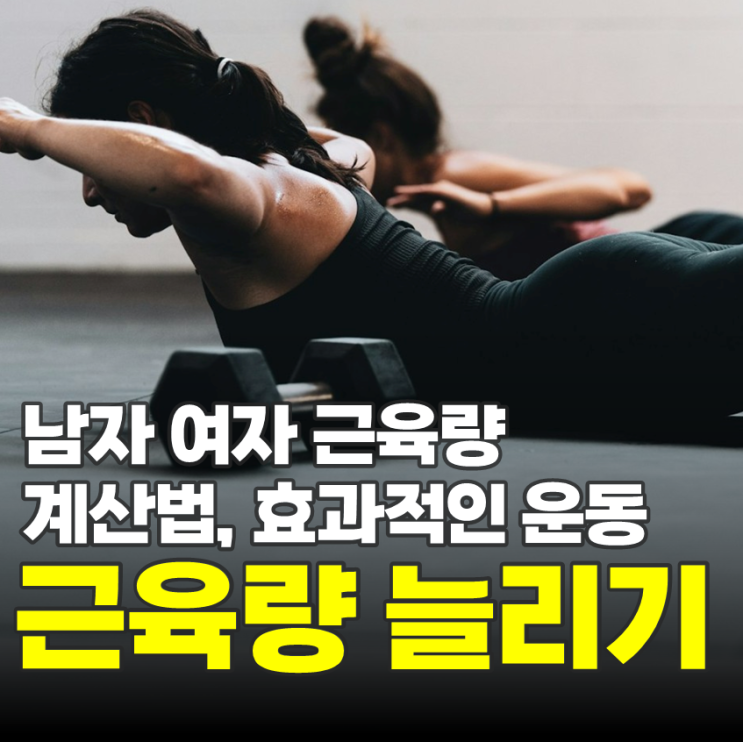 여자 근육량 늘리기 골격근량 근육량 뜻 늘리기 네이버 블로그