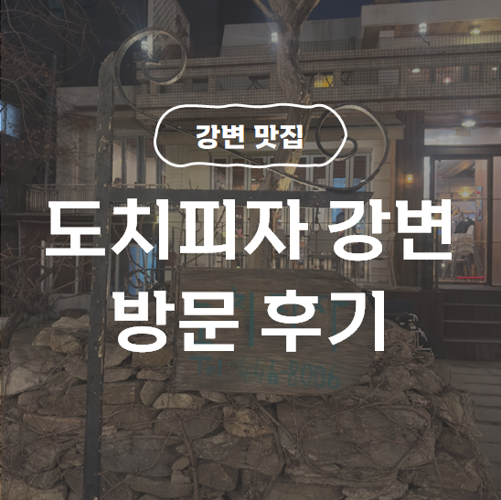 맛집 리뷰 피자는 이탈리아에서~ 강변 맛집 강변 데이트 도치피자 메뉴 및 후기 네이버 블로그