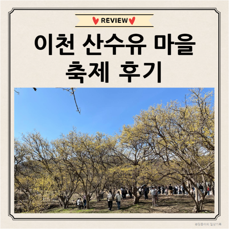 국내여행 2024년 이천 산수유 마을 축제 후기 주차셔틀버스 네이버 블로그