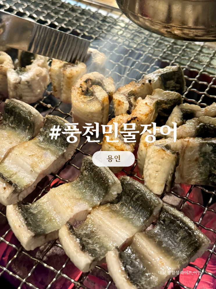 용인 장어 마에스트로cc 맛집 장어명가풍천민물장어직판장 강추 네이버 블로그