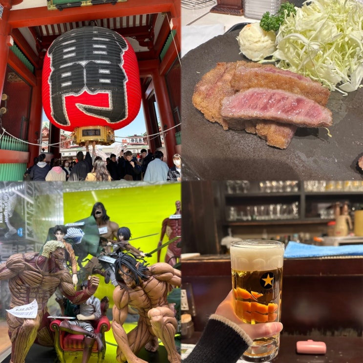 도쿄 아사쿠사 센소지 벚꽃 (모토무라 규카츠,아키히바라 피규어,아카사카 심야식당 이자카야) : 네이버 블로그