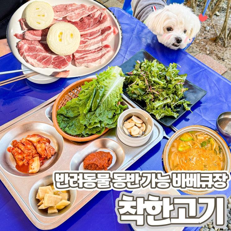 일산 덕양구 야외 바베큐장 반려견 동반가능 식당 착한고기 원당점 네이버 블로그