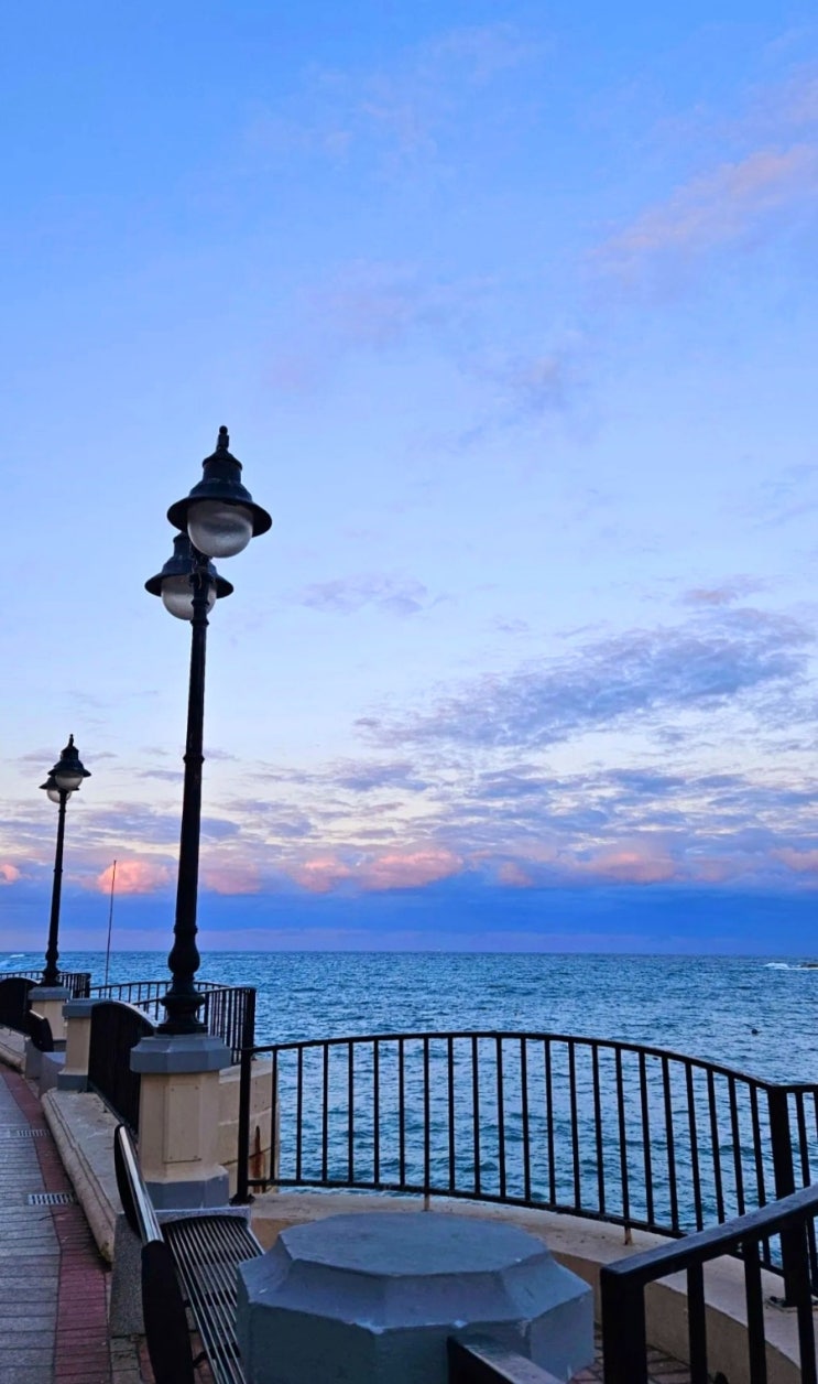 #1 몰타 에볼루션 취업 (Evolution, Game Presenter) : 네이버 블로그