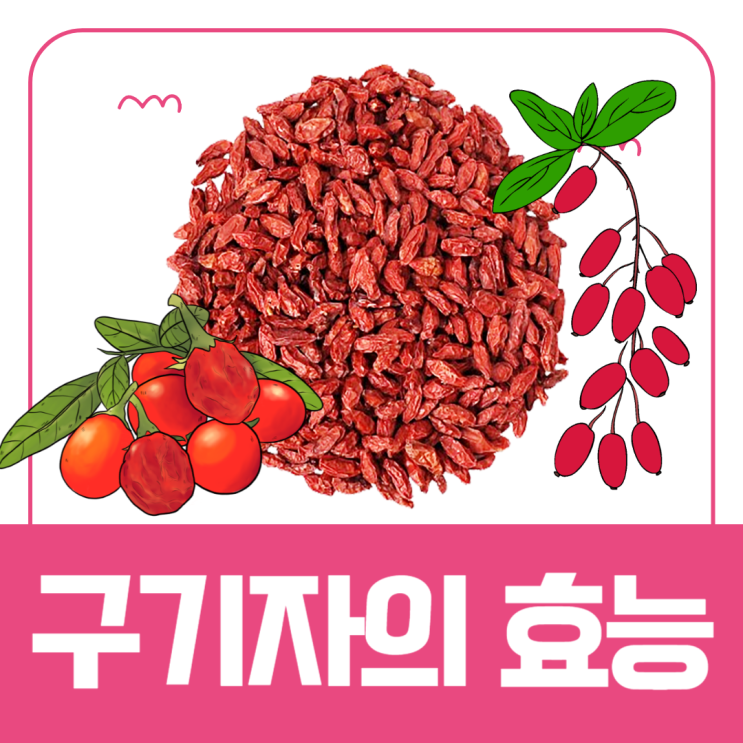 구기자의 효능 12가지 구기자차 부작용 끓이는 법 네이버 블로그