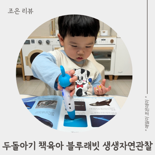두돌아기 책 추천 블루래빗 생생자연관찰과 함께하는 책육아 네이버 블로그