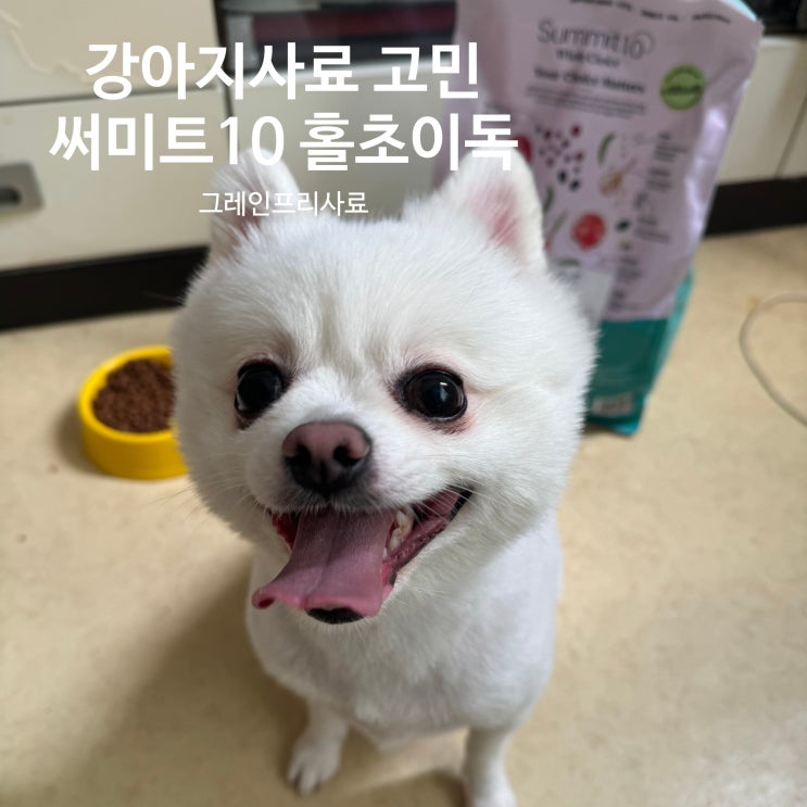 강아지사료 고민 하시는 분들은 그레인프리사료 써미트10 추천드려요 네이버 블로그