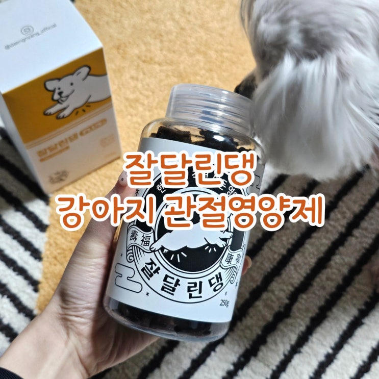 잘달린댕 강아지 관절 영양제 강아지 슬개골 간식 네이버 블로그