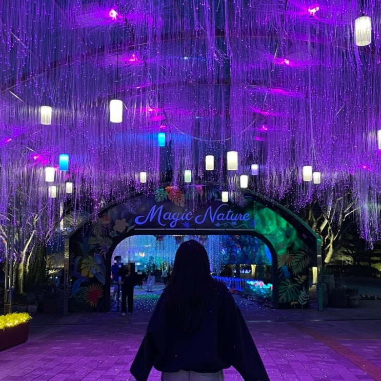 대전 가볼만한곳 오월드 자유이용권으로 놀이기구부터 사파리 야간개장까지 네이버 블로그