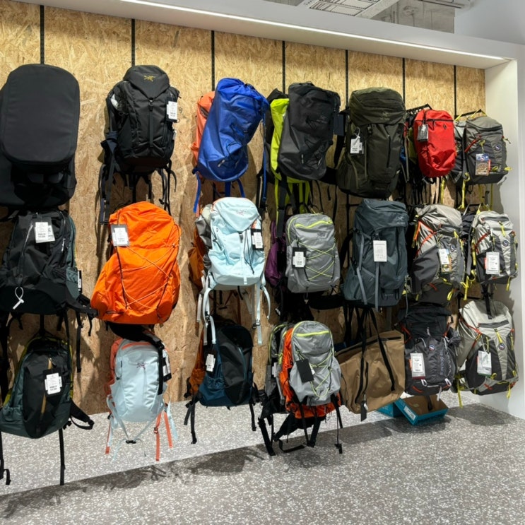 아크테릭스 맨티스 20 백팩(arcteryx mantis 20 backpack) 후기 : 네이버 블로그
