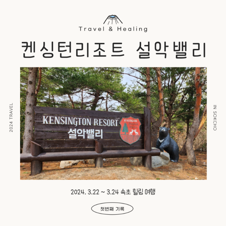 속초 여행 켄싱턴리조트 설악밸리 로얄스위트 바젤 디어폰드 디어밸리 양 목장 가족여행 강원도 여행 숙소